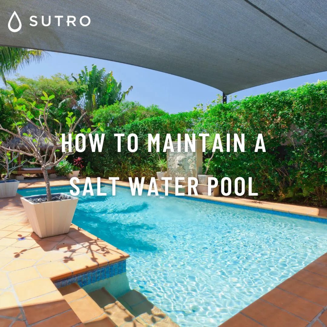 How To Maintain A Salt Water Pool Sutro Inc